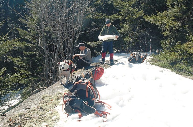 EMBARK: Mountain, lake and waterfall exploration in Eagle Bay | News ...